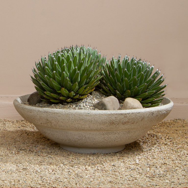 Low Deco Round Garden Bowl Planter | Inner Gardens