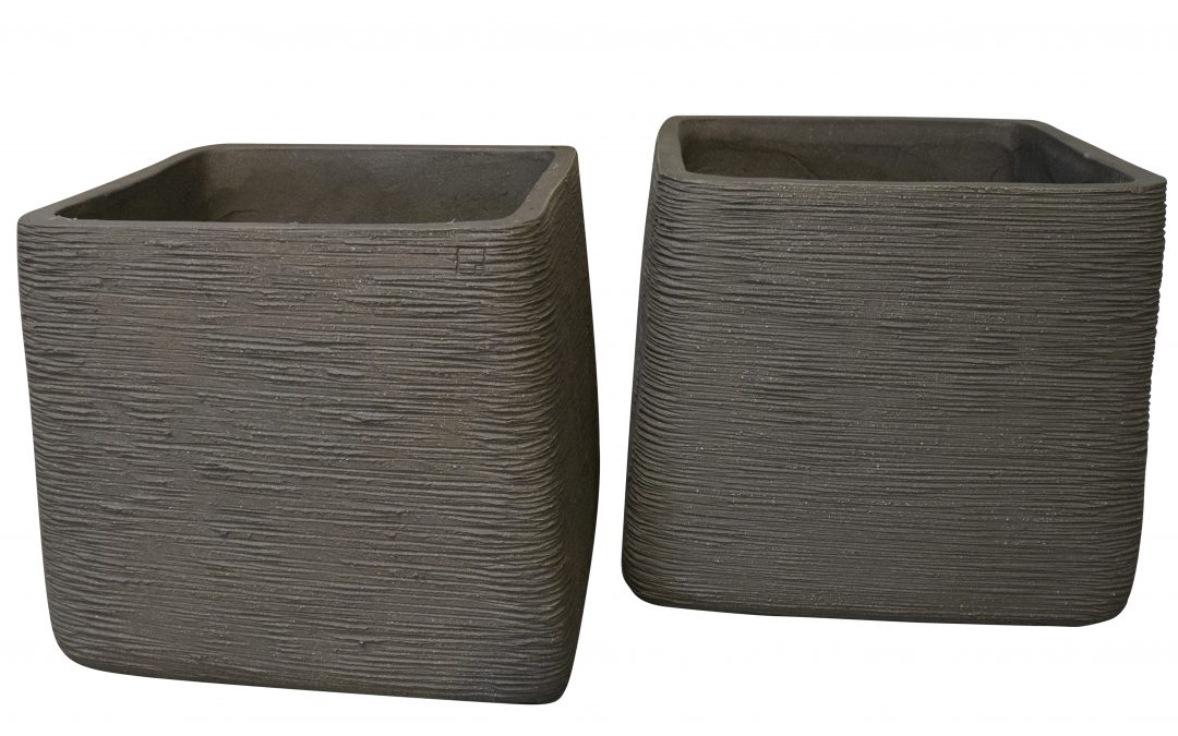 Scrape Style Modern Cube | Inner Gardens