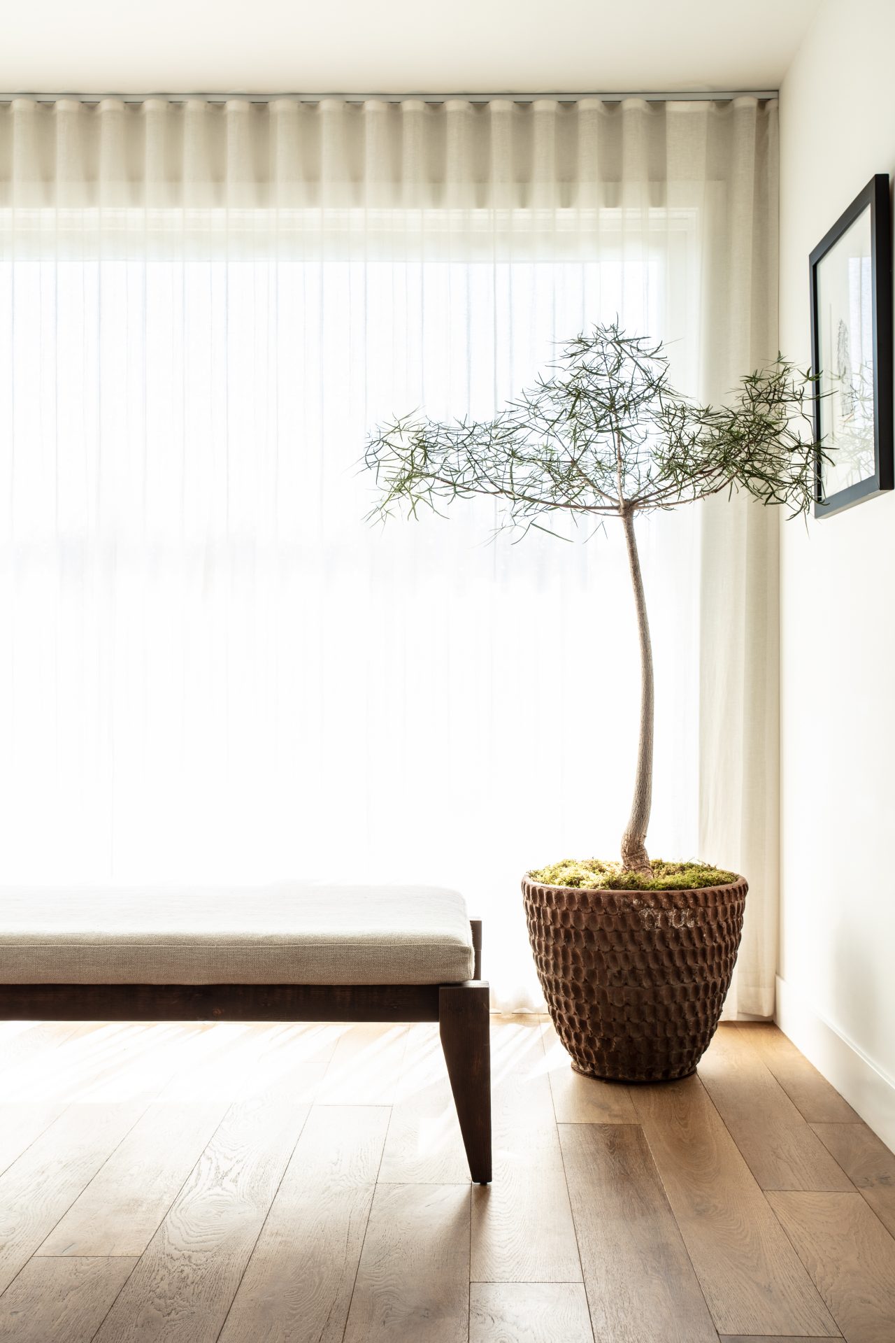 At Home With Mariel Haenn | Inner Gardens